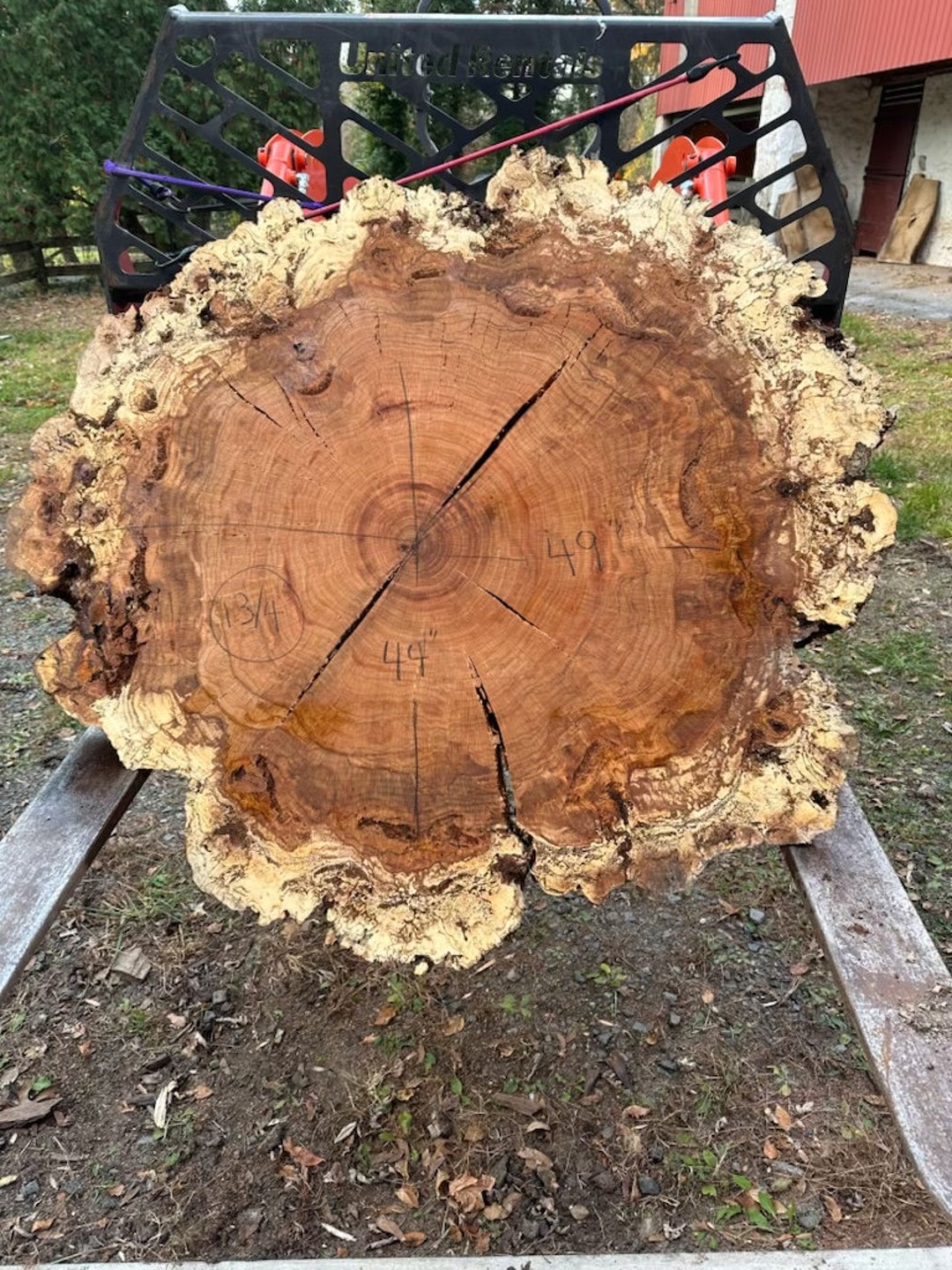 Large Wood Round Burl. Pin Oak - Etsy