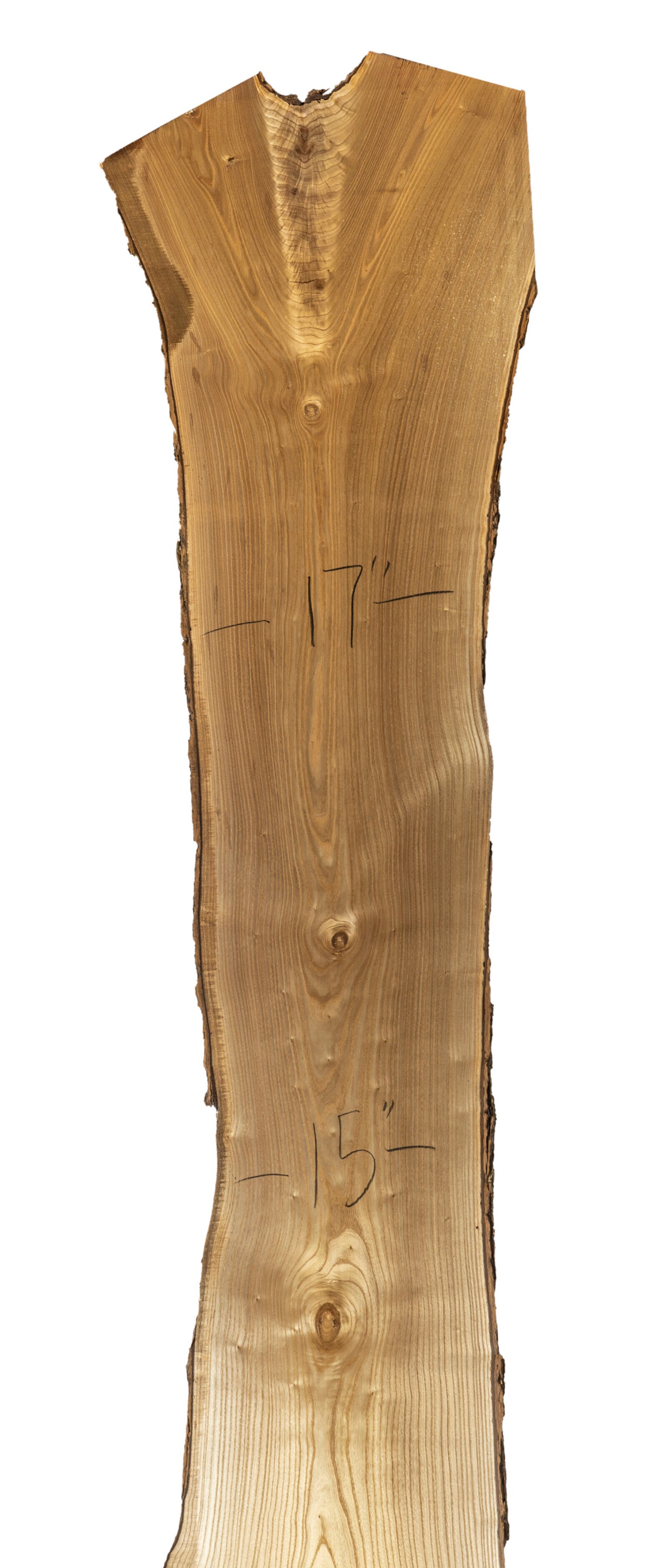 14 Foot Long Wood Slab for Sale. 14 Foot Long Kentucky Coffee Tree. 14 ...