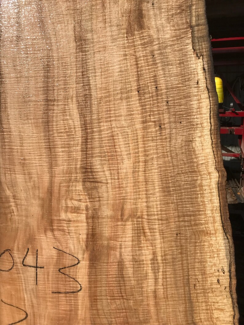 12 Foot Maple Wood Slabs for Sale - Etsy
