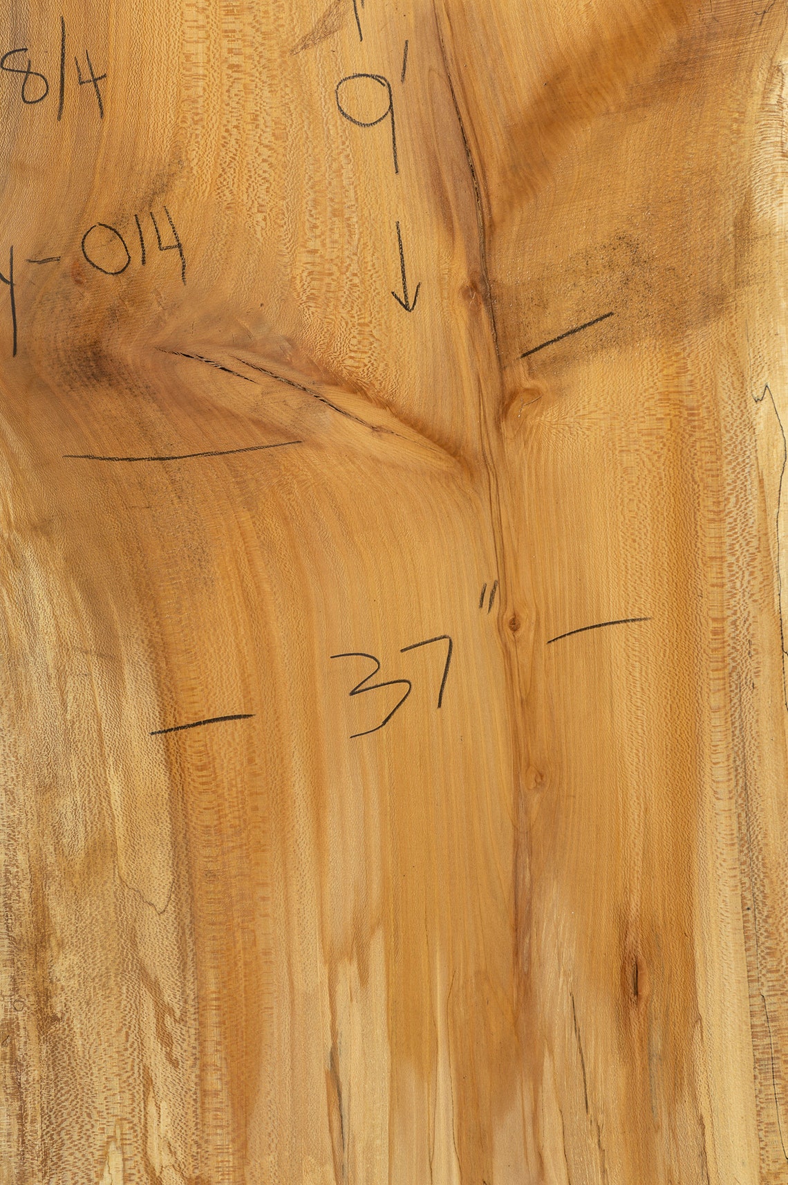 9 Foot Spalted Sycamore Live Edge Wood Slab. 9 Foot Sycamore Dining ...