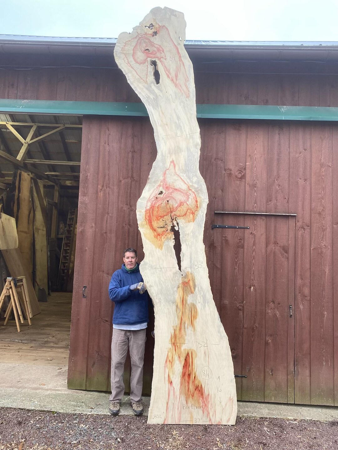 Giant Box Elder | Live Edge Wood | Reclaimed Wood Slabs | Kiln Dried ...