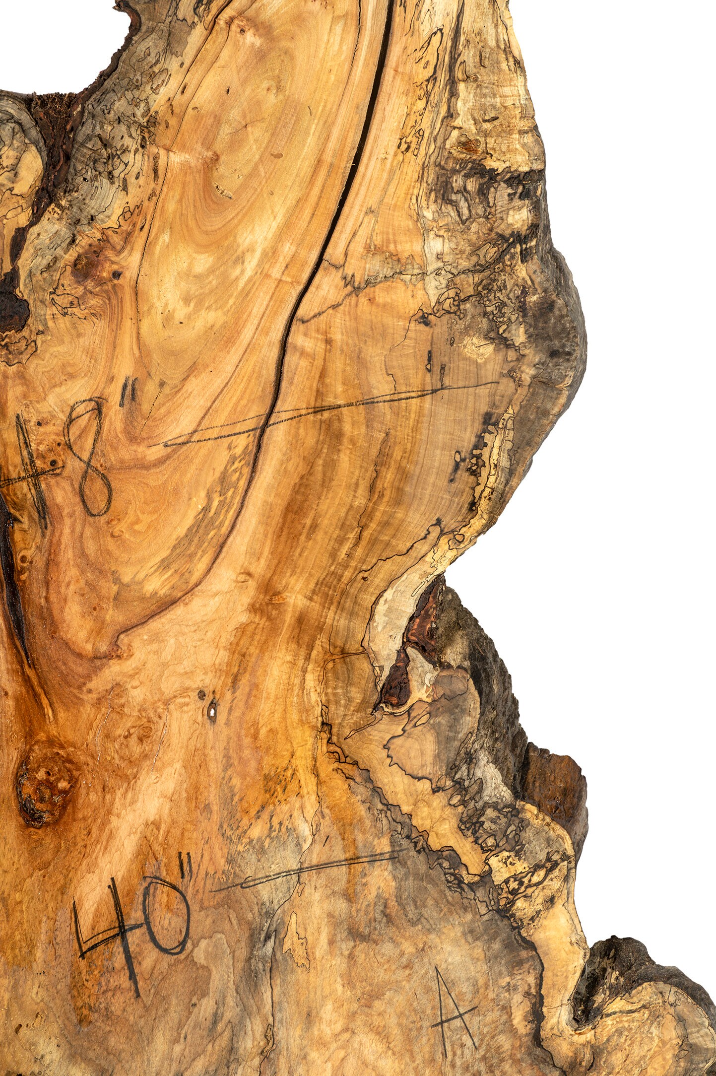 Live Edge Maple Wood Slab. Spalted Maple Wood Slab. Eight Foot Maple ...