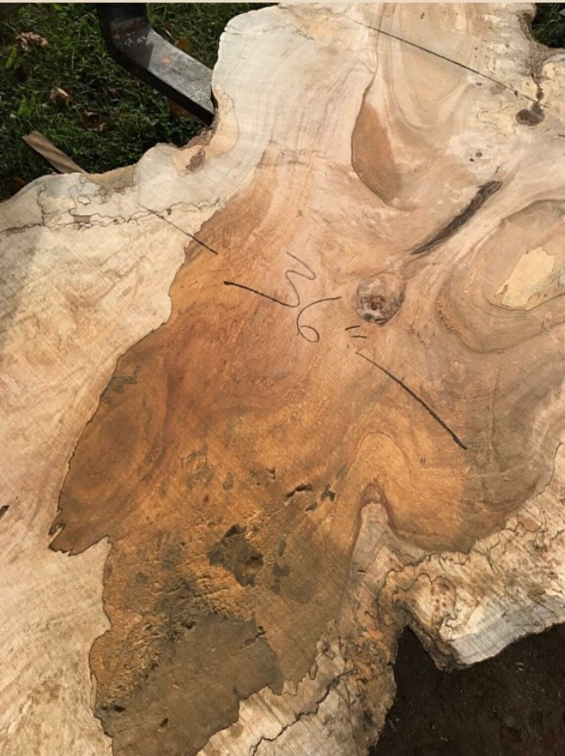 8 Foot Spalted Silver Maple Wood Slab. Live Edge Wood Slab Table. Wood ...