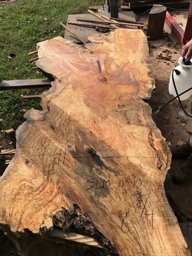 Spalted Maple Live Edge Wood Slab. Spalted Wood Slab Table. Wormy ...