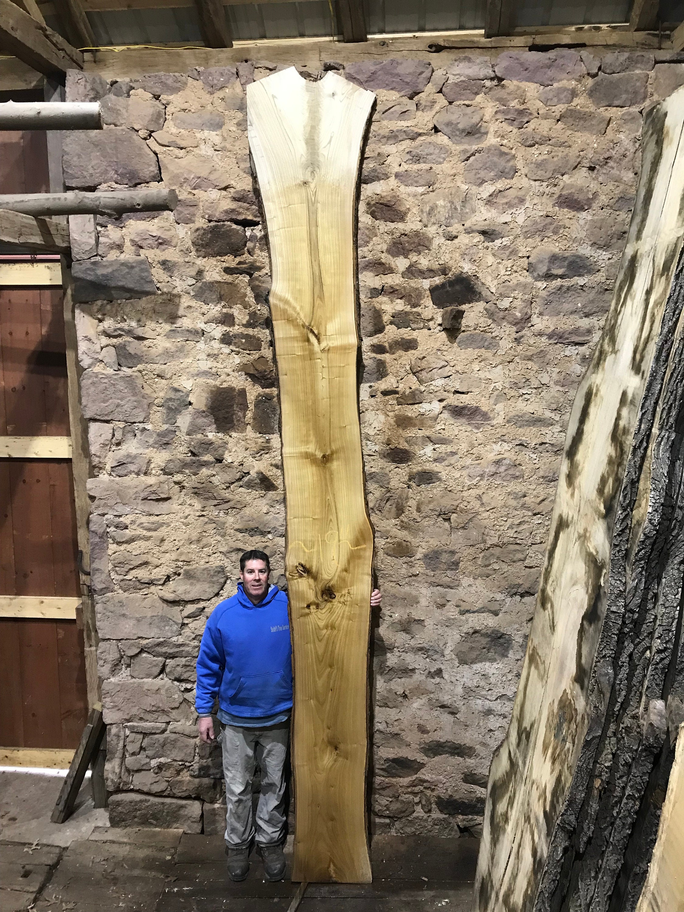 Fourteen Foot Long Kentucky Coffee Tree Live Edge Wood Slab - Etsy