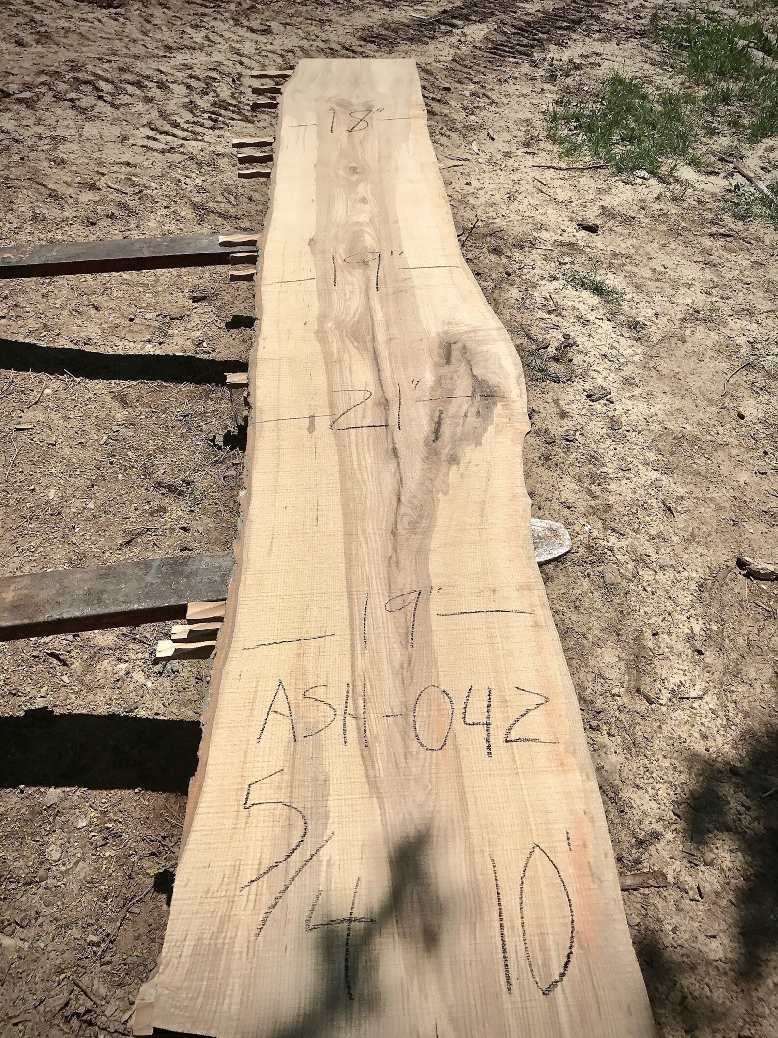 Ten Foot Ash Wood Slab. Ash Wood Slab. Ash Live Edge Wood Slab - Etsy