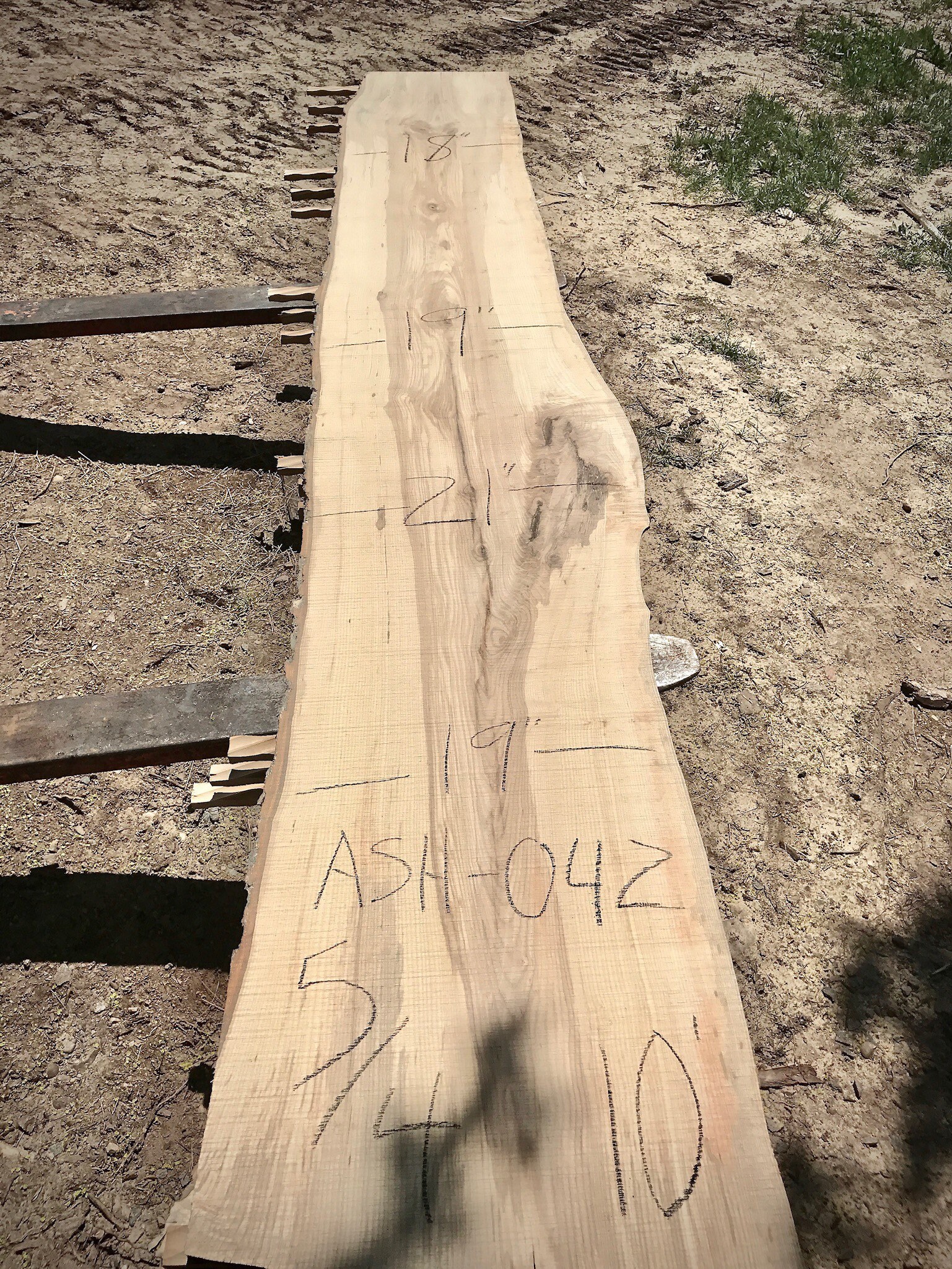 Ten Foot Ash Wood Slab. Ash Wood Slab. Ash Live Edge Wood Slab - Etsy