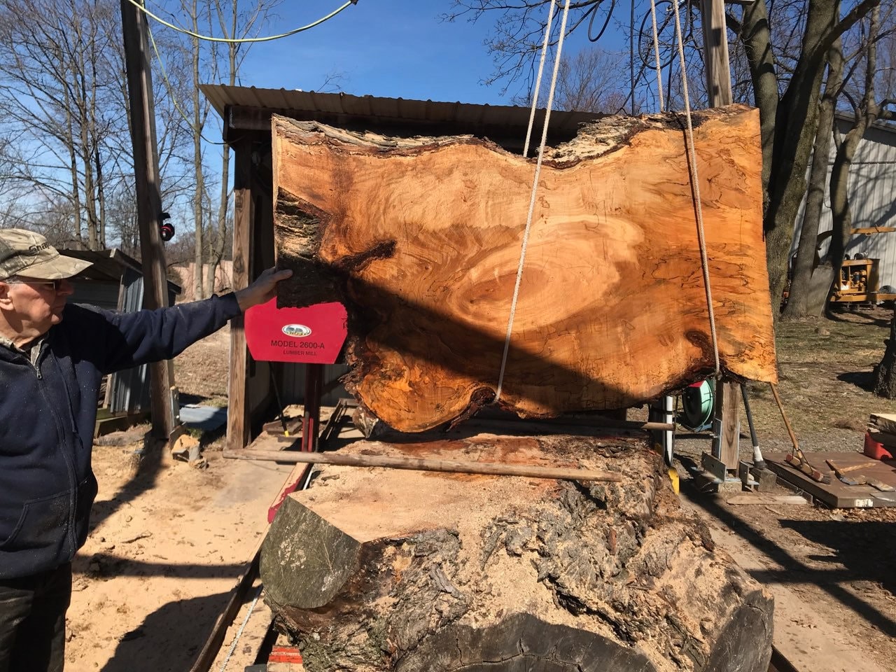 Silver Maple | Live Edge Wood | Reclaimed Wood Slabs | Kiln Dried Wood ...