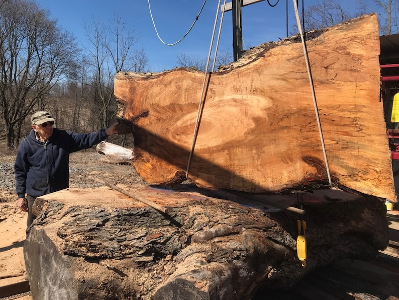Silver Maple | Live Edge Wood | Reclaimed Wood Slabs | Kiln Dried Wood ...