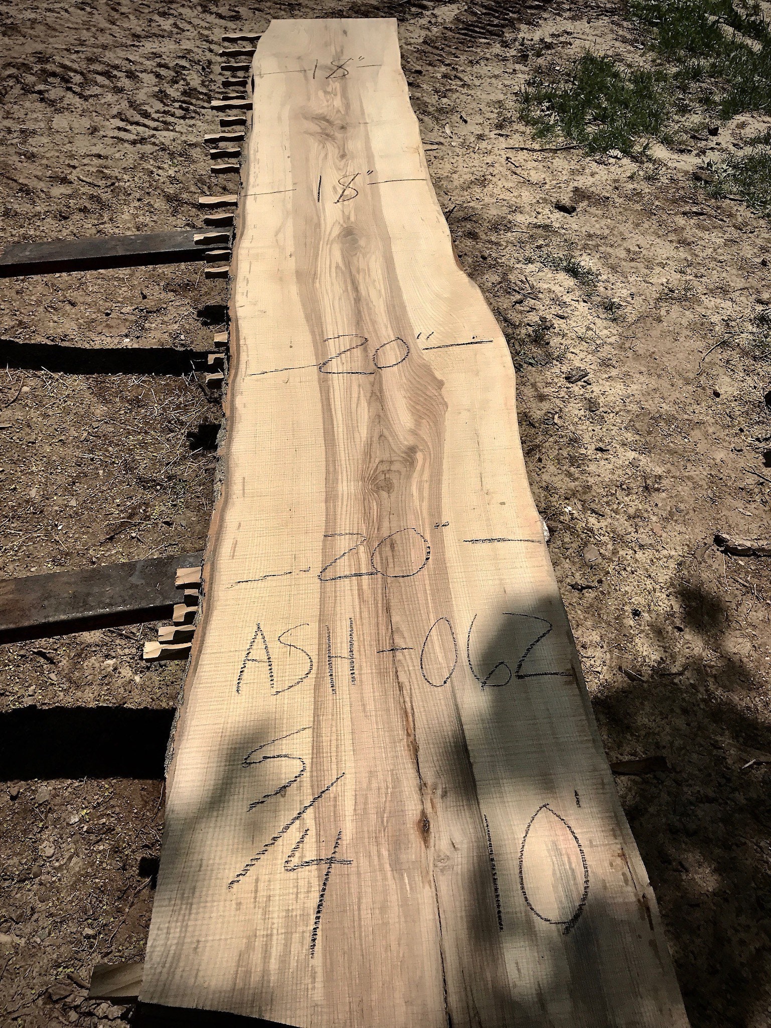 Ten Foot Ash Wood Slab. Ash Live Edge Wood Slab. Ash Coffee Table. Long ...