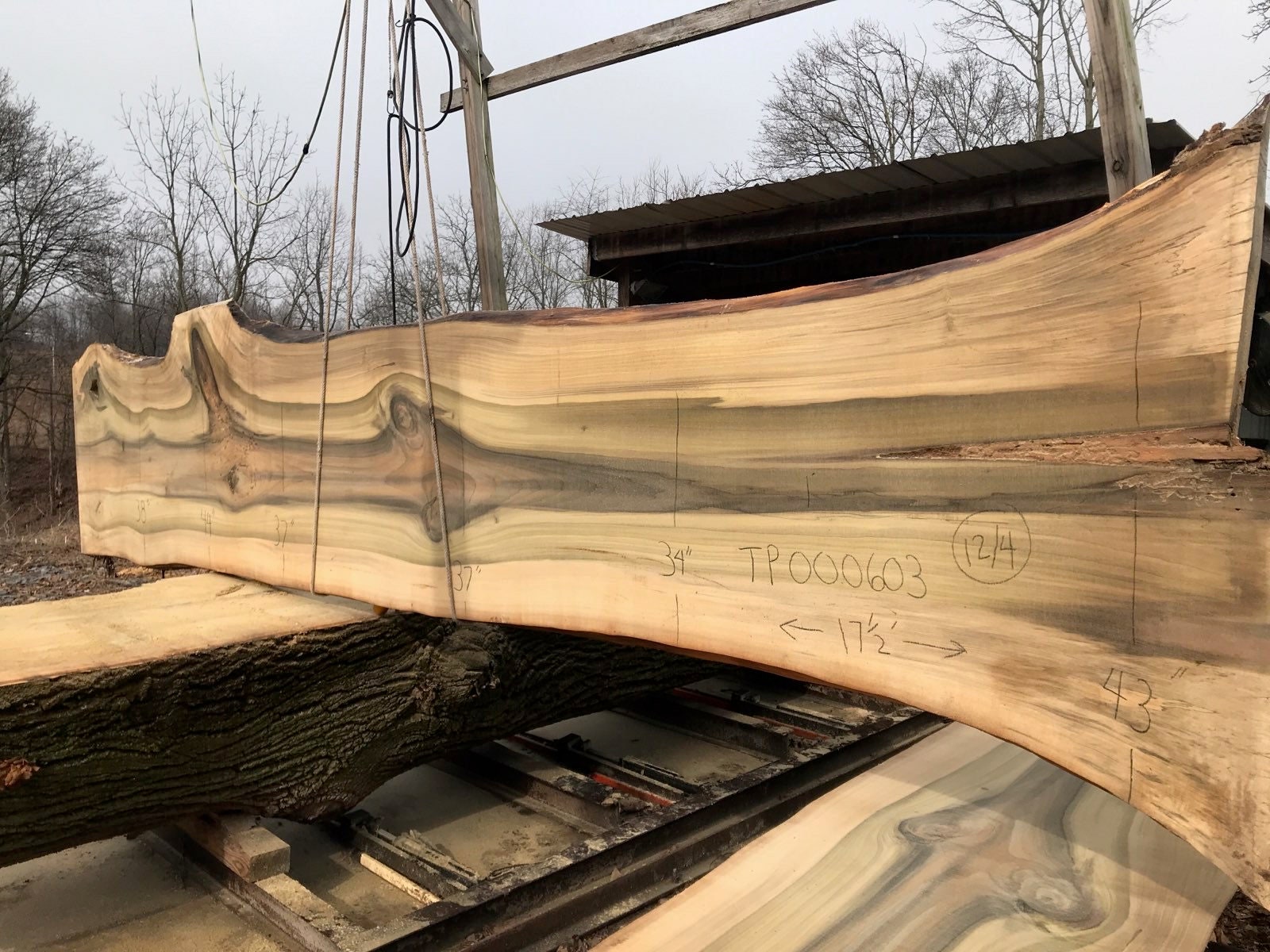 Tulip Poplar | Live Edge Wood | Reclaimed Wood Slabs | Kiln Dried Wood ...