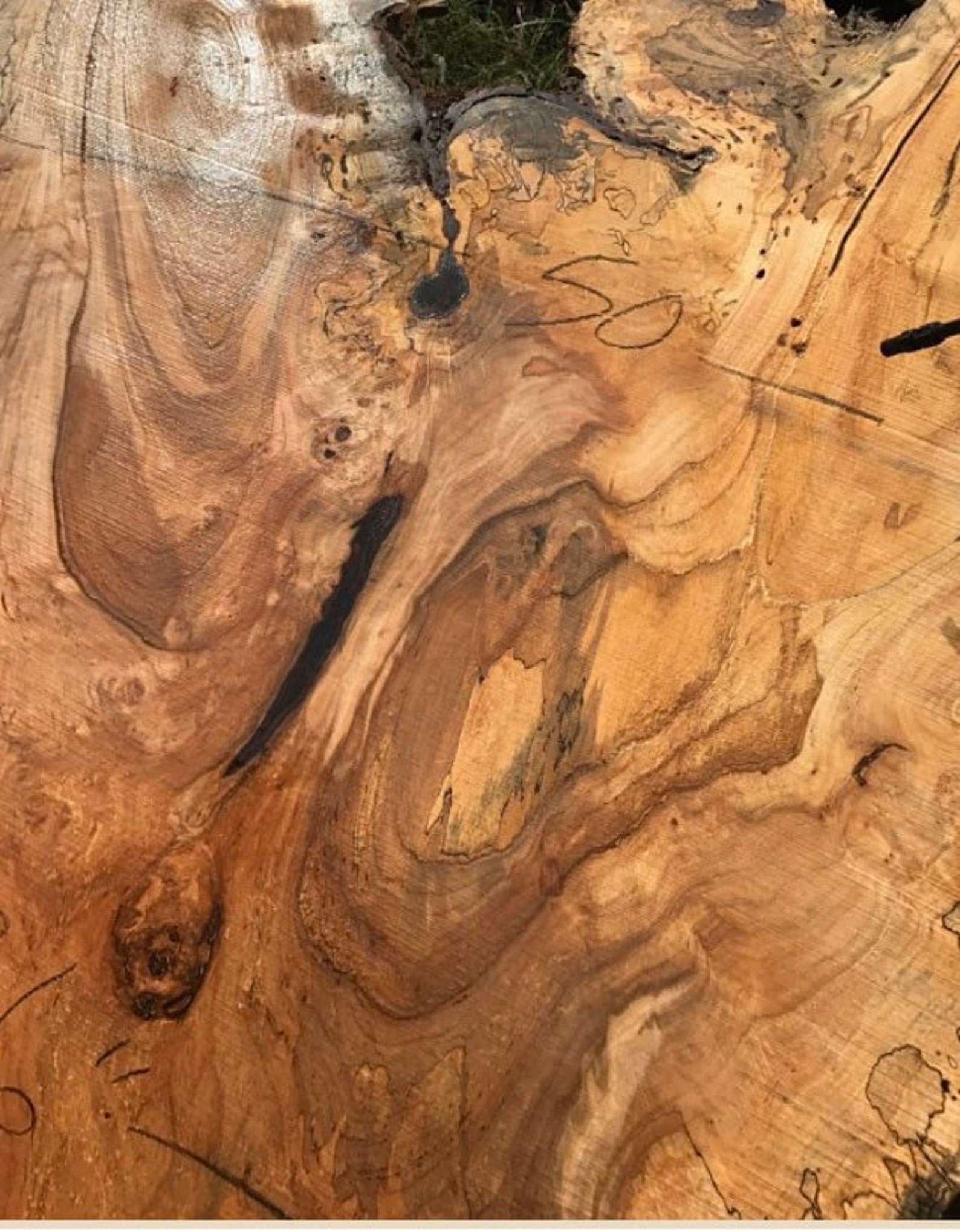 8 Foot Spalted Silver Maple Wood Slab. Live Edge Wood Slab Table. Wood ...