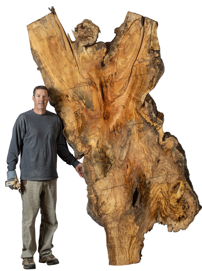 Live Edge Maple Wood Slab. Spalted Maple Wood Slab. Eight Foot Maple ...