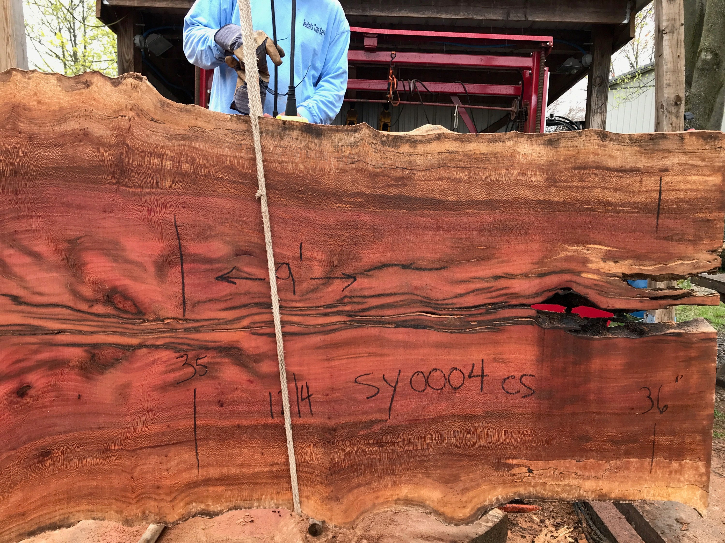 Sycamore Wood Slab Dining Table 9 Feet - Etsy