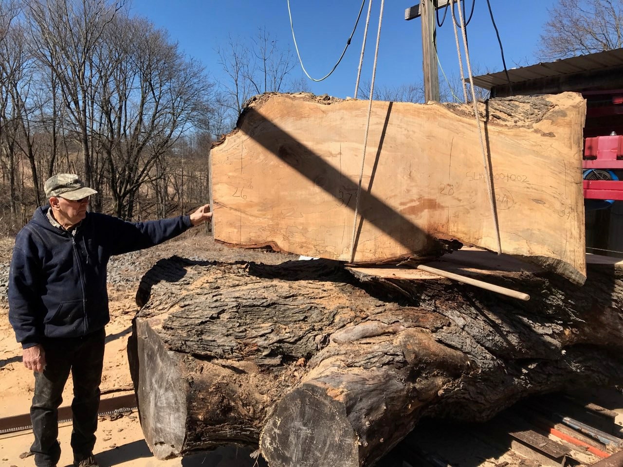Silver Maple | Live Edge Wood | Reclaimed Wood Slabs | Kiln Dried Wood ...
