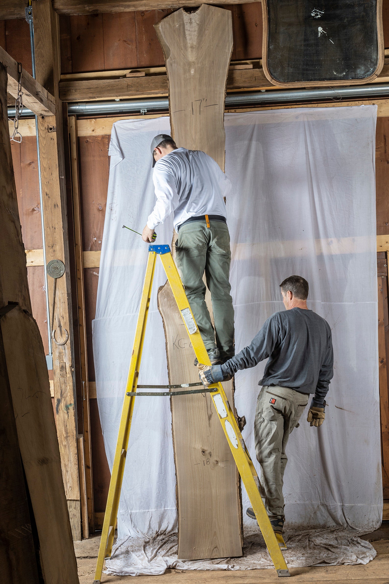 14 Foot Long Wood Slab for Sale. 14 Foot Long Kentucky Coffee Tree. 14 ...