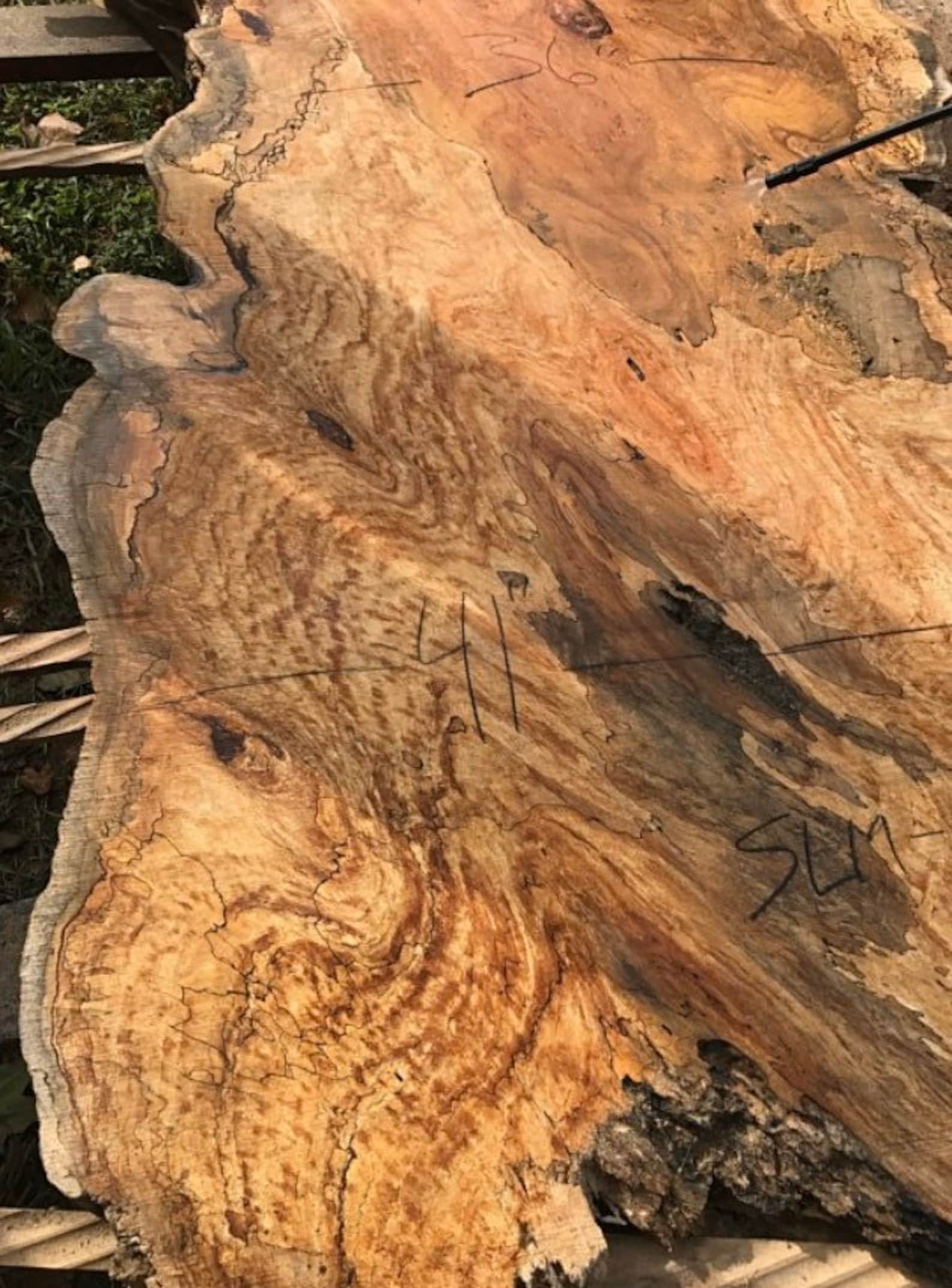 8 Foot Spalted Silver Maple Wood Slab. Live Edge Wood Slab Table. Wood ...