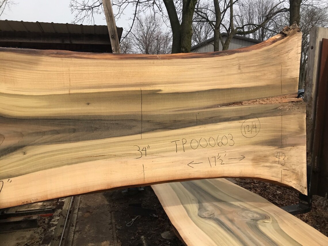 Tulip Poplar | Live Edge Wood | Reclaimed Wood Slabs | Kiln Dried Wood ...