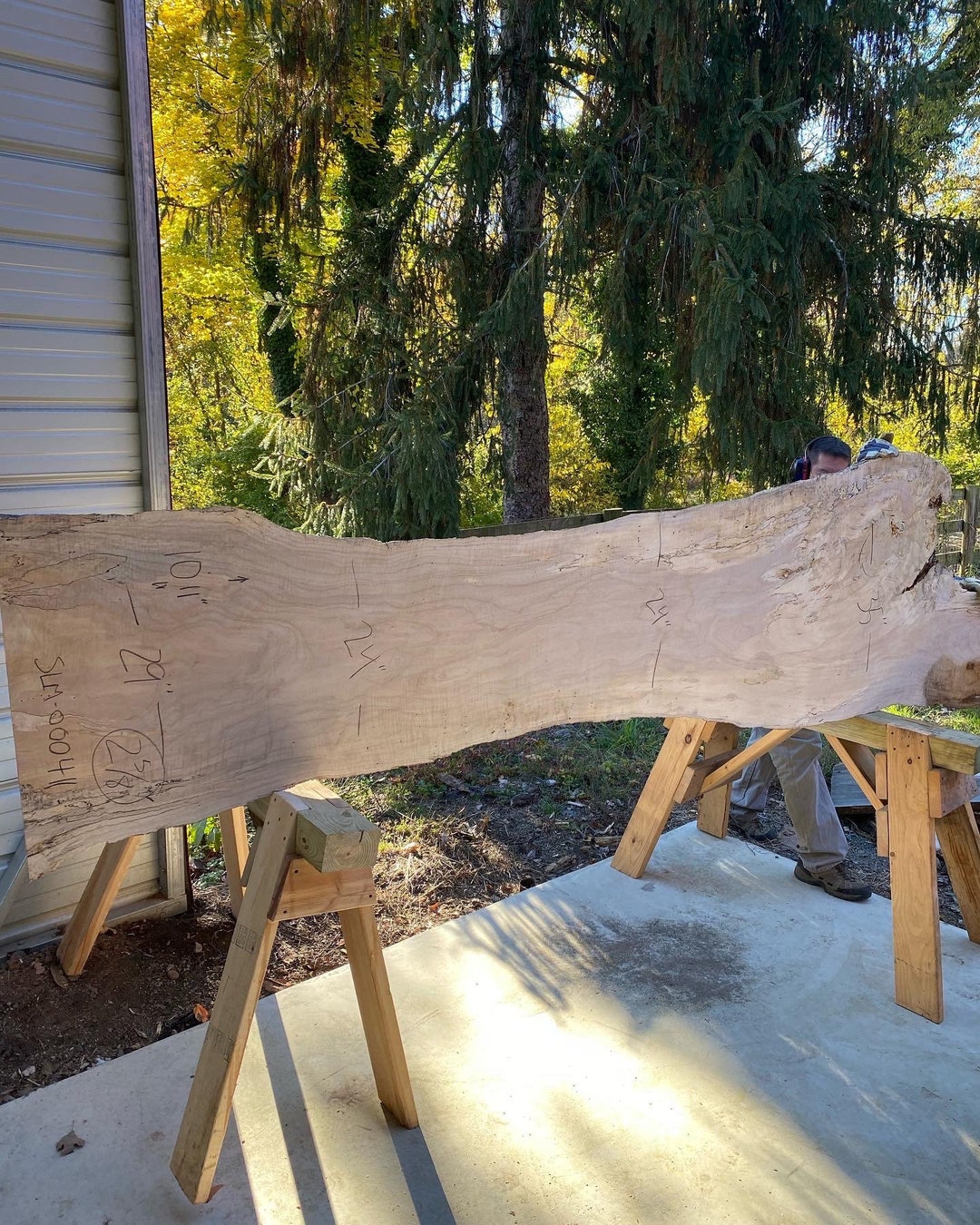 11 Foot Curly Silver Maple Wood Slab - Etsy