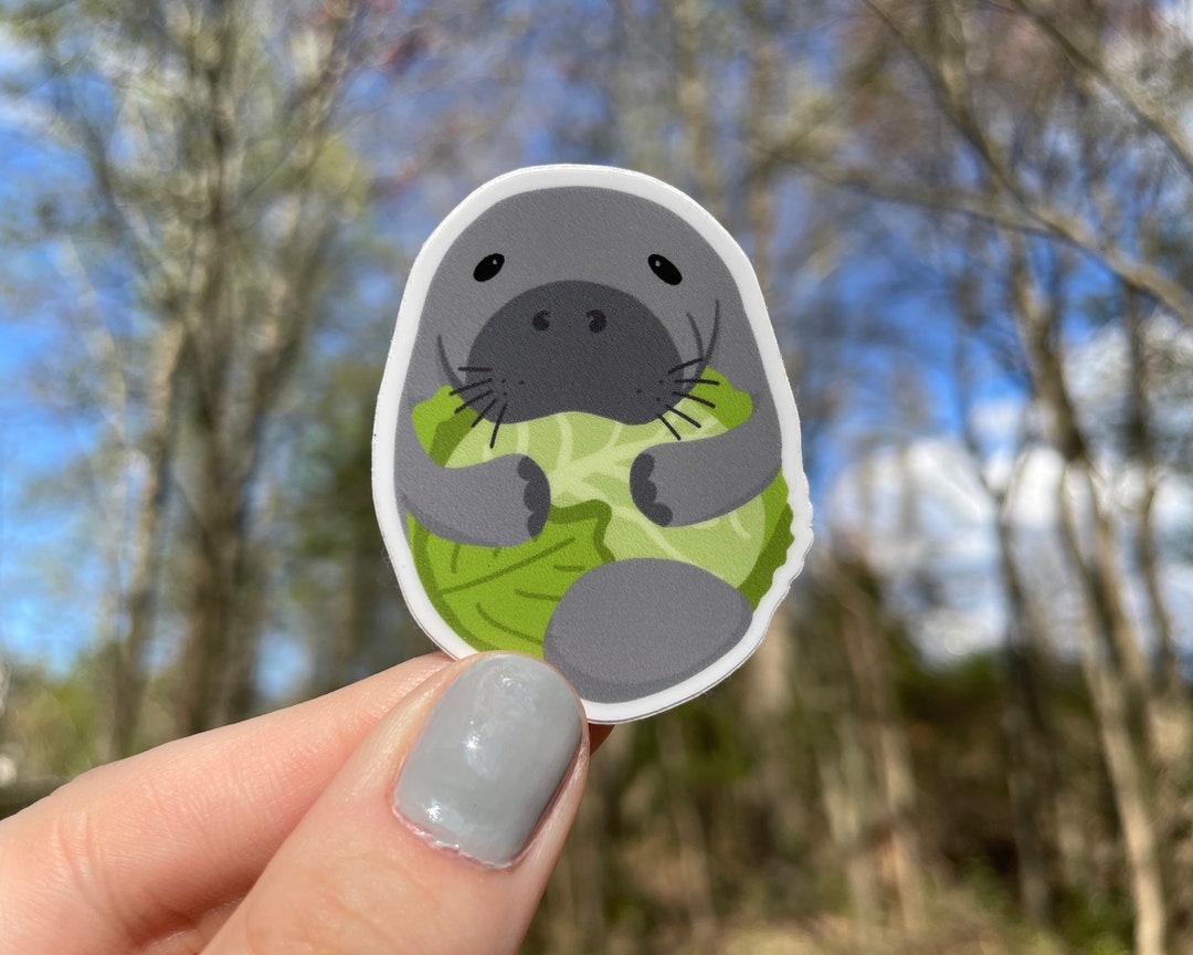 Manatee Hugging Lettuce Sticker Waterproof Vinyl Sticker - Etsy