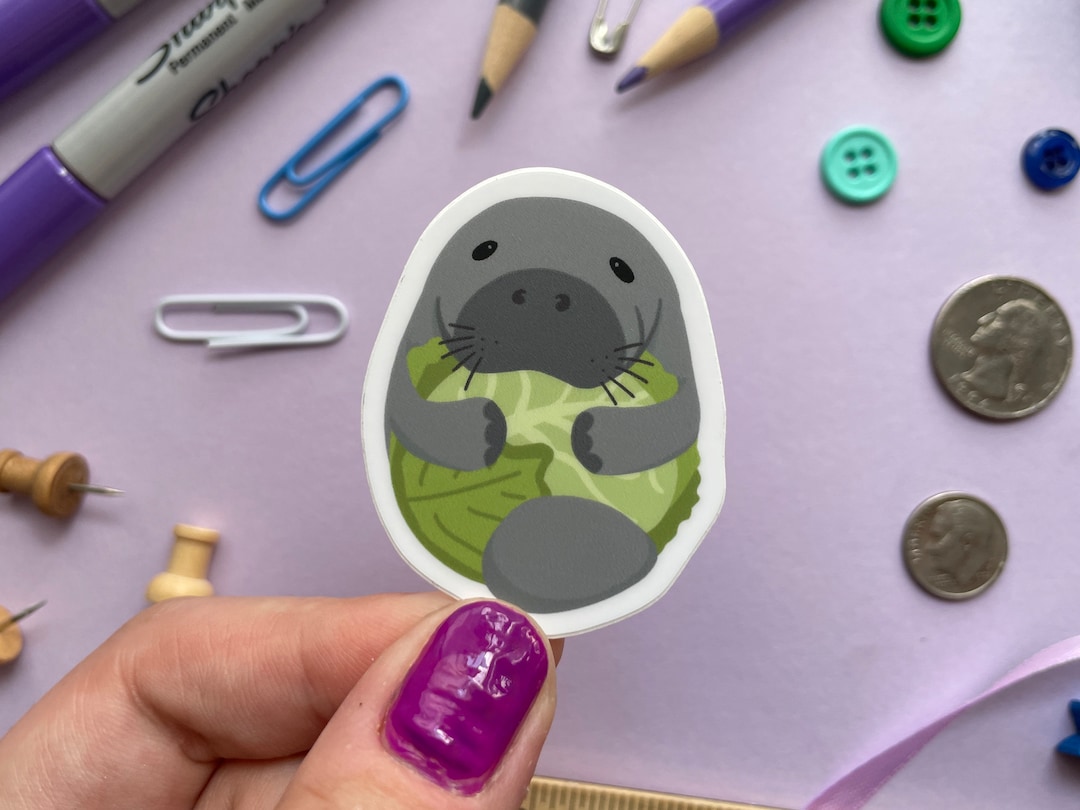 Manatee Hugging Lettuce Sticker | Waterproof Vinyl Sticker | Cute ...