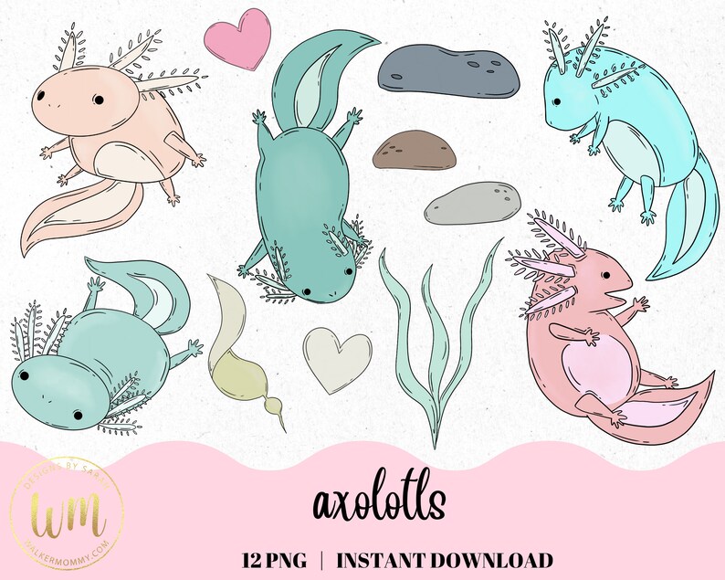 Cute Axolotl Clipart | Aquatic Pet Png, Kawaii Axolotls Swimming, Wild ...