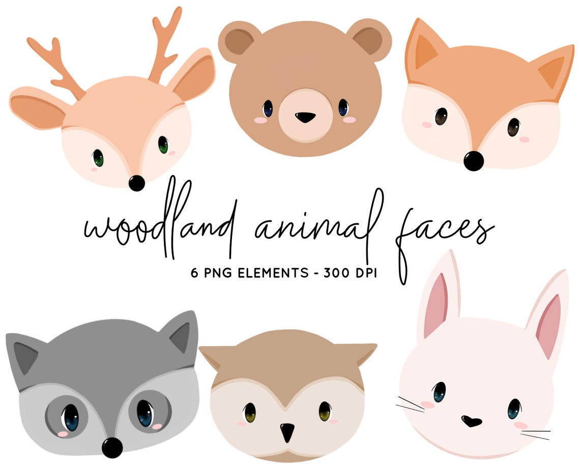 Cute Woodland Animal Faces Clipart | Digital Instant Download PNG ...