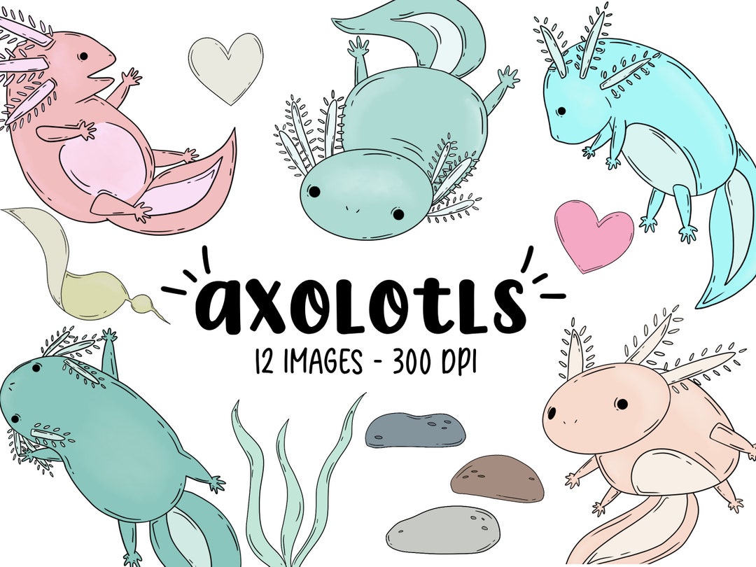 Cute Axolotl Clipart | Aquatic Pet Png, Kawaii Axolotls Swimming, Wild ...
