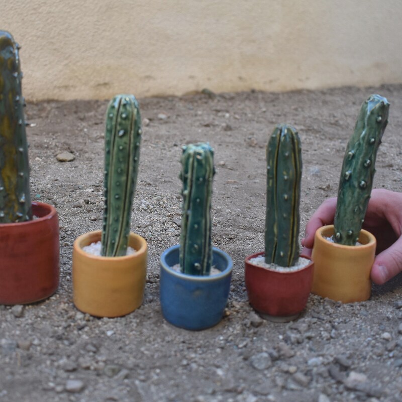 Cactus Pottery - Etsy