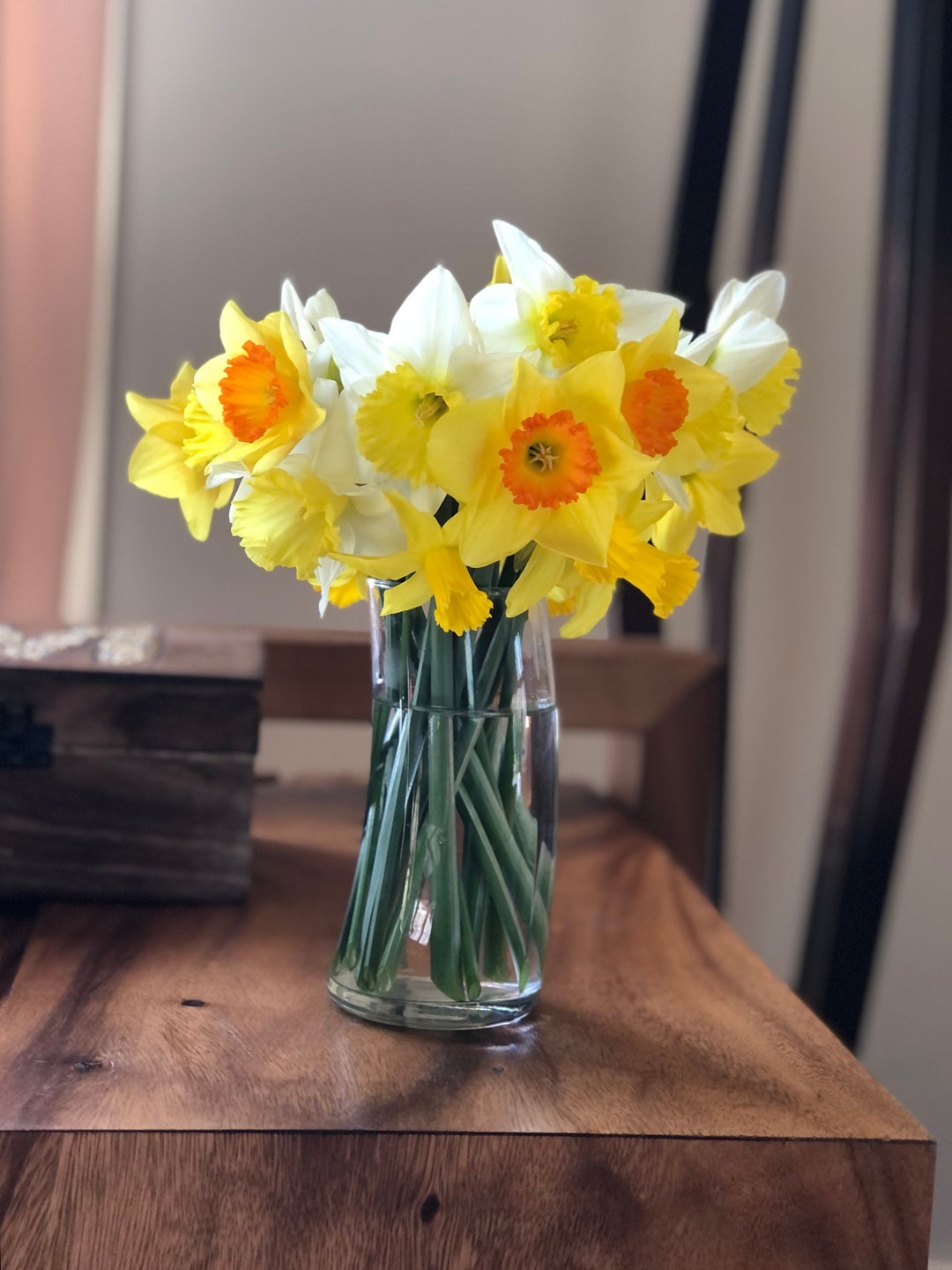20 Stems of Fresh Daffodils Birthday Flowers Spring Flower Stems Fresh ...