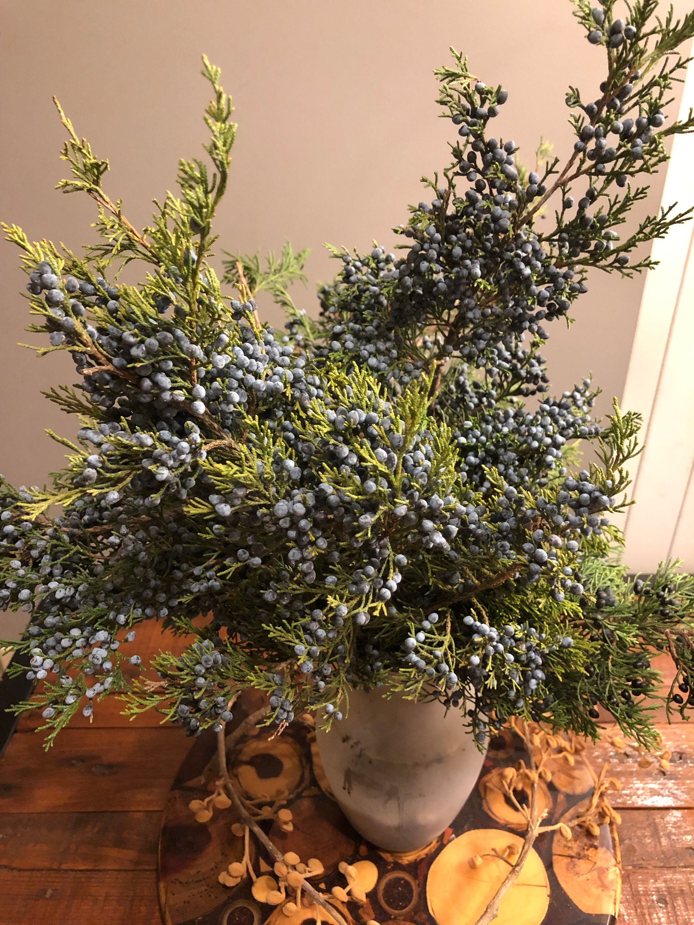 Fresh Cut Juniper Stems With Blue Berries - Aromatic Greenery - Etsy