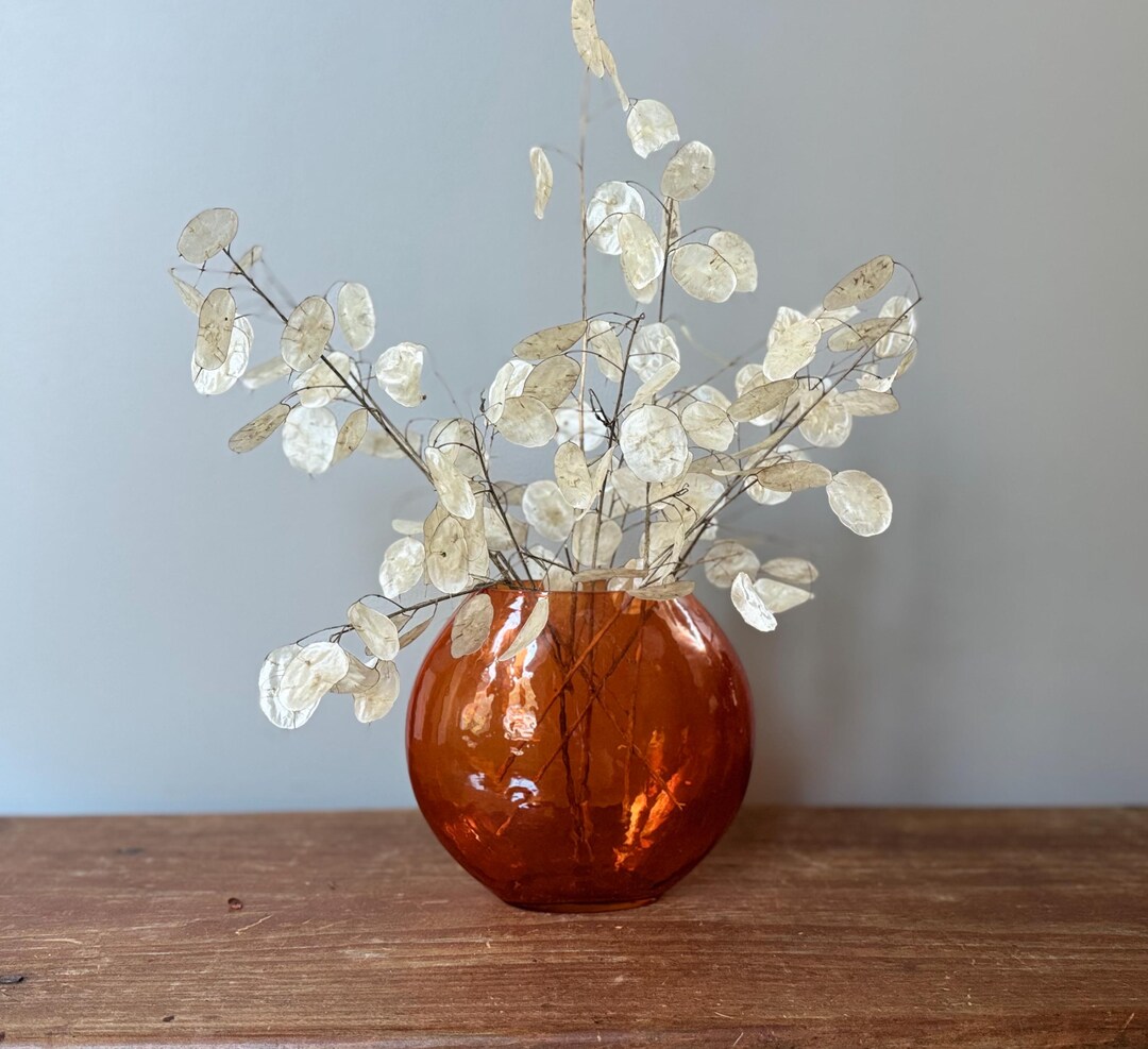 5 Branches of Dried Lunaria, Dried Silver Dollar Plant, Dried Money ...