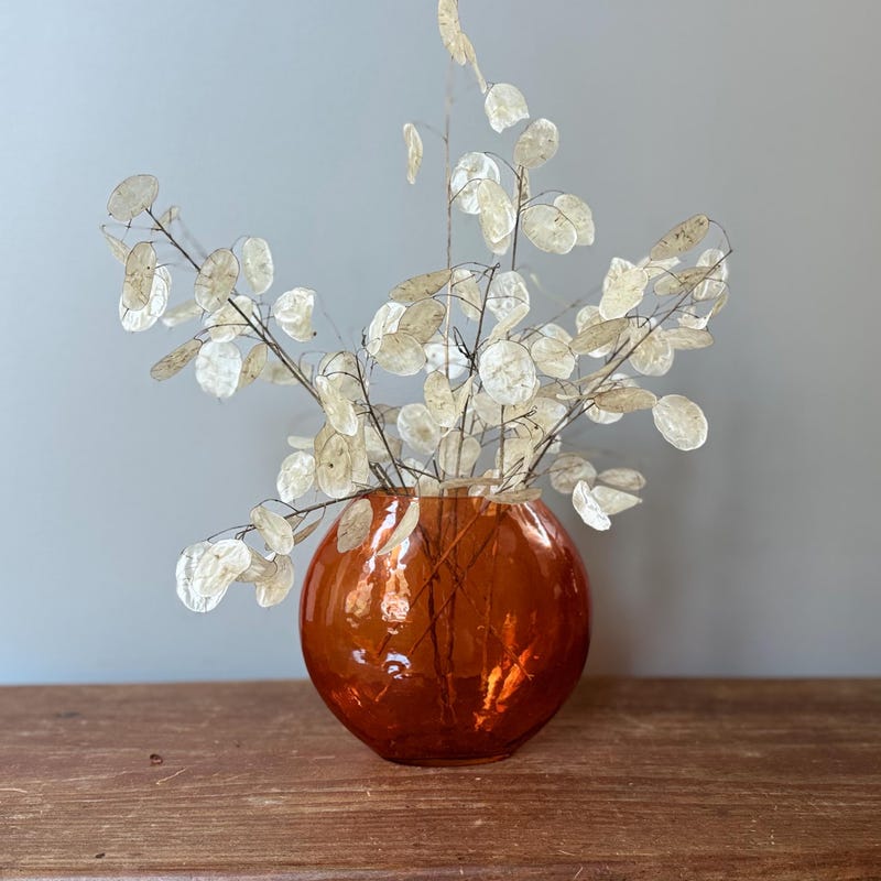 Honesty Dry Flowers - Etsy