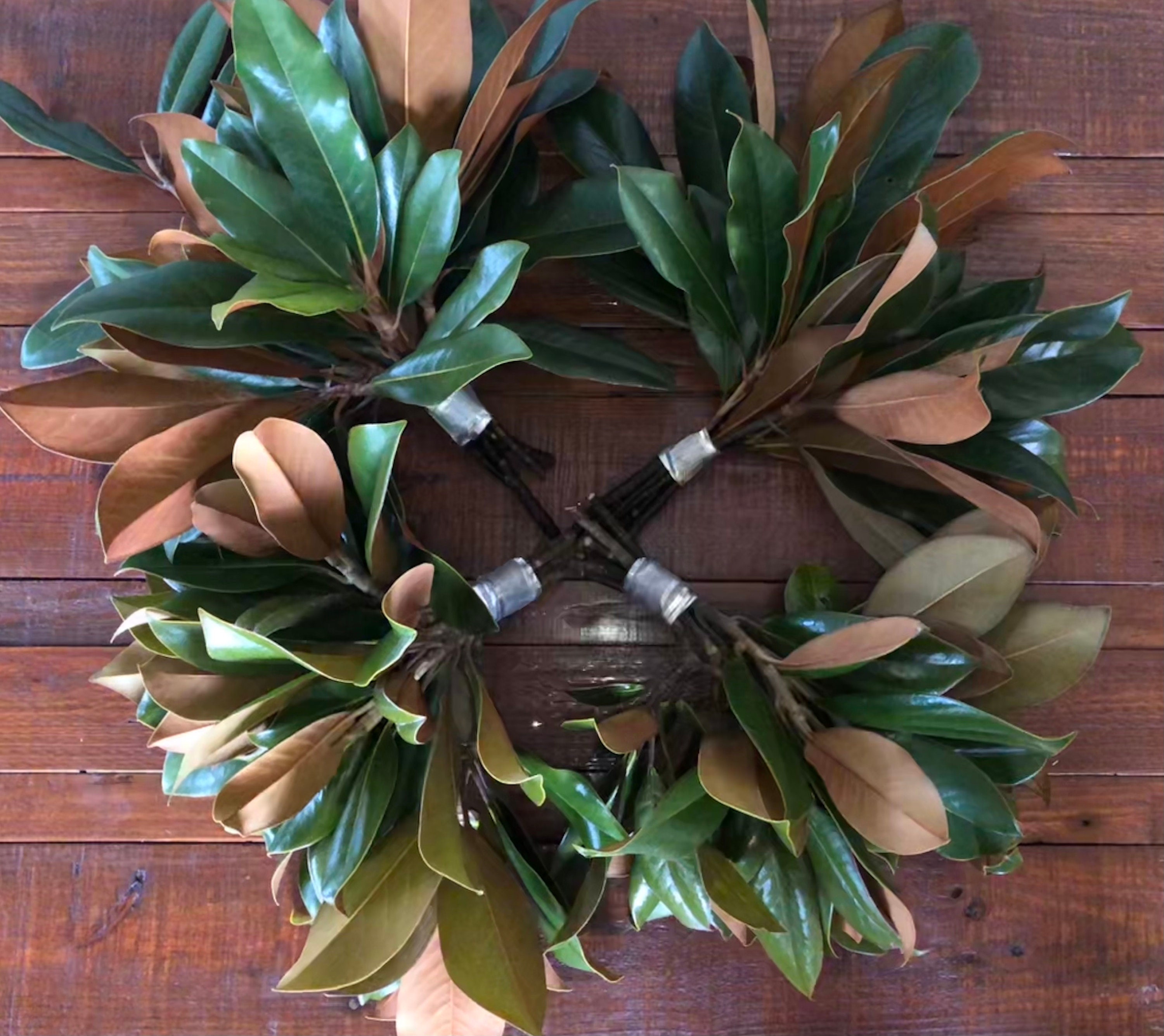 Fresh Magnolia Grandiflora Branch Tips-garlands-floral Decor-table ...