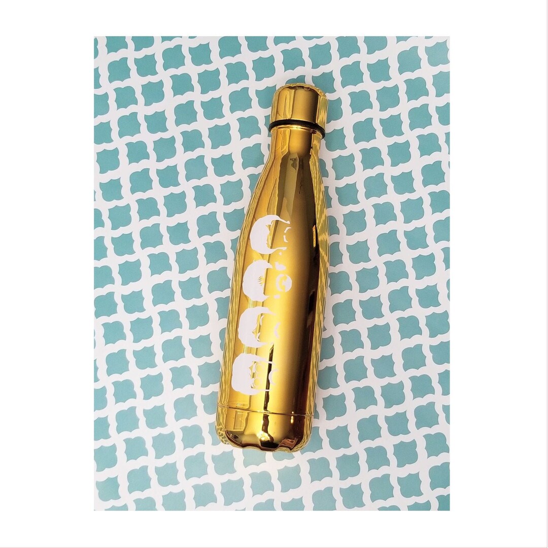 The Beatles Water Bottle Stainless Steel Vacuum Sealed - Etsy