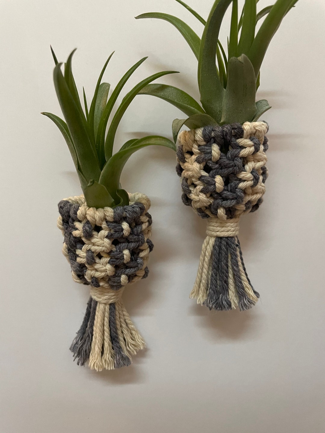 Set of Two//mini Macrame Air Plant Fridge Magnets//home Office Decor ...