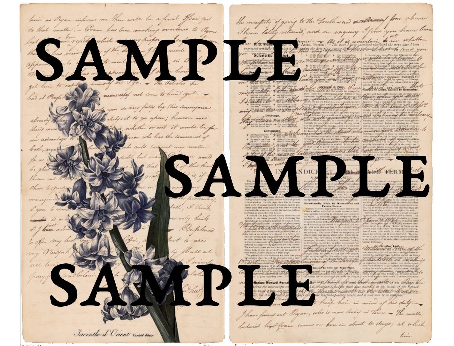 Faded Florals on Vintage Ledger Pages to Add Shabby Chic Charm - Etsy