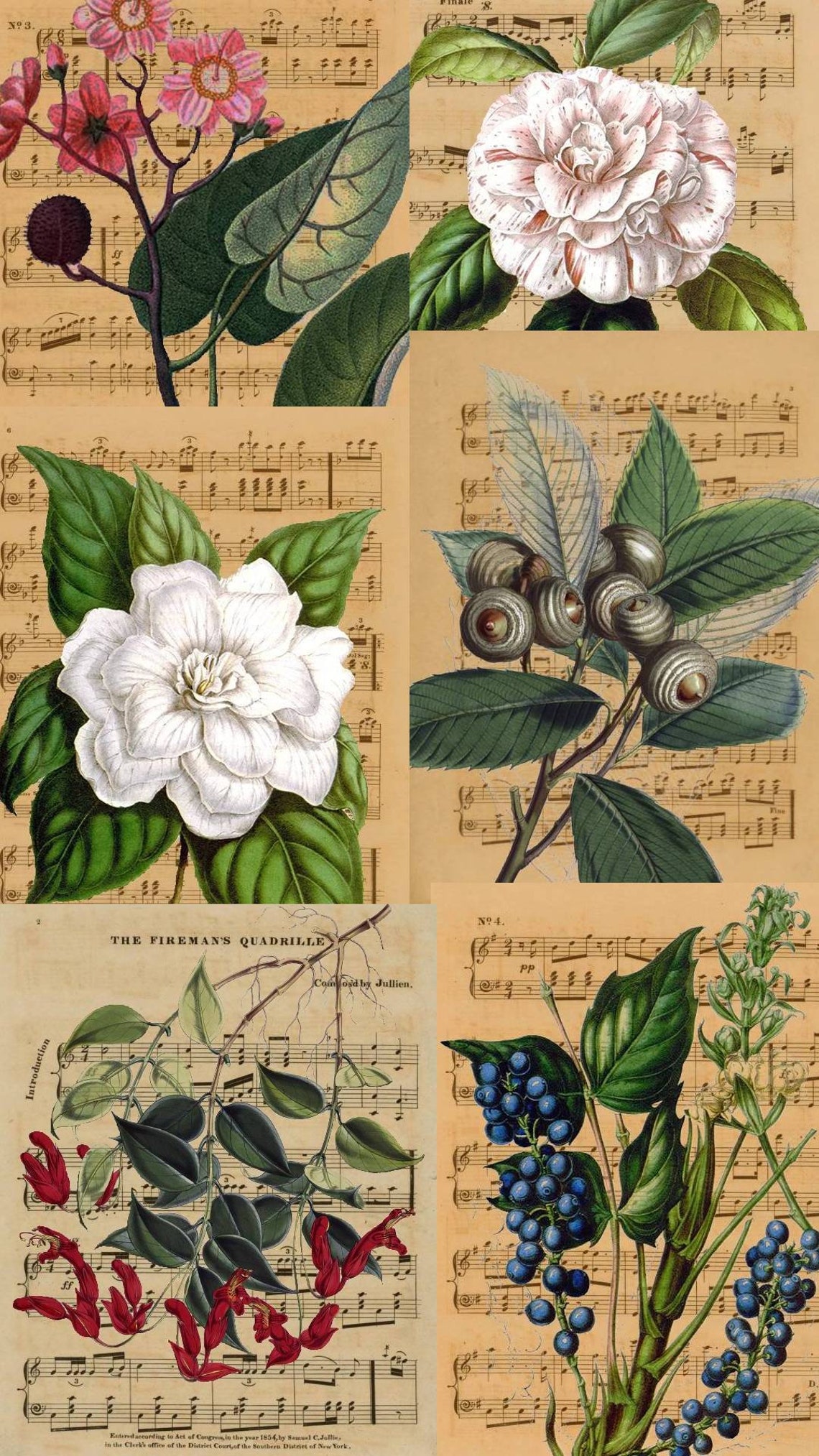 Botanical Ephemera Junk Journal Kit W Ten Pages of Vintage - Etsy