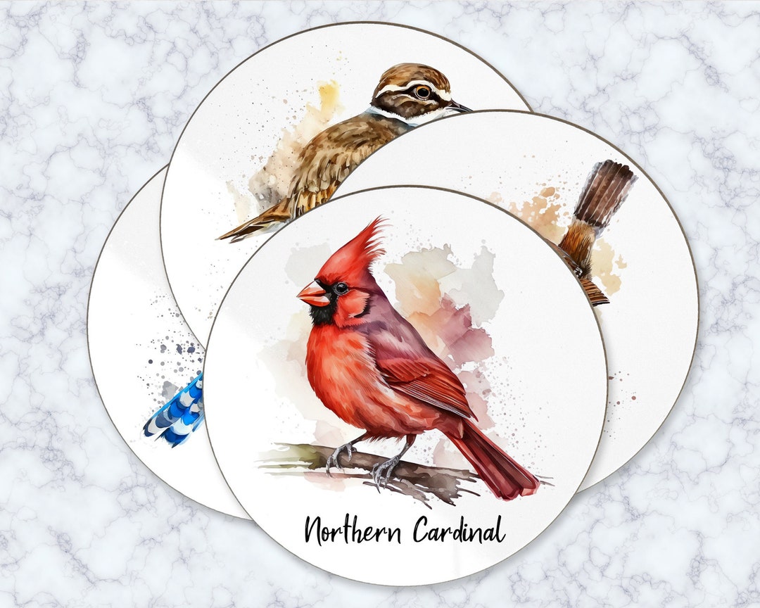 Backyard Bird Coaster Set of 4 - Etsy
