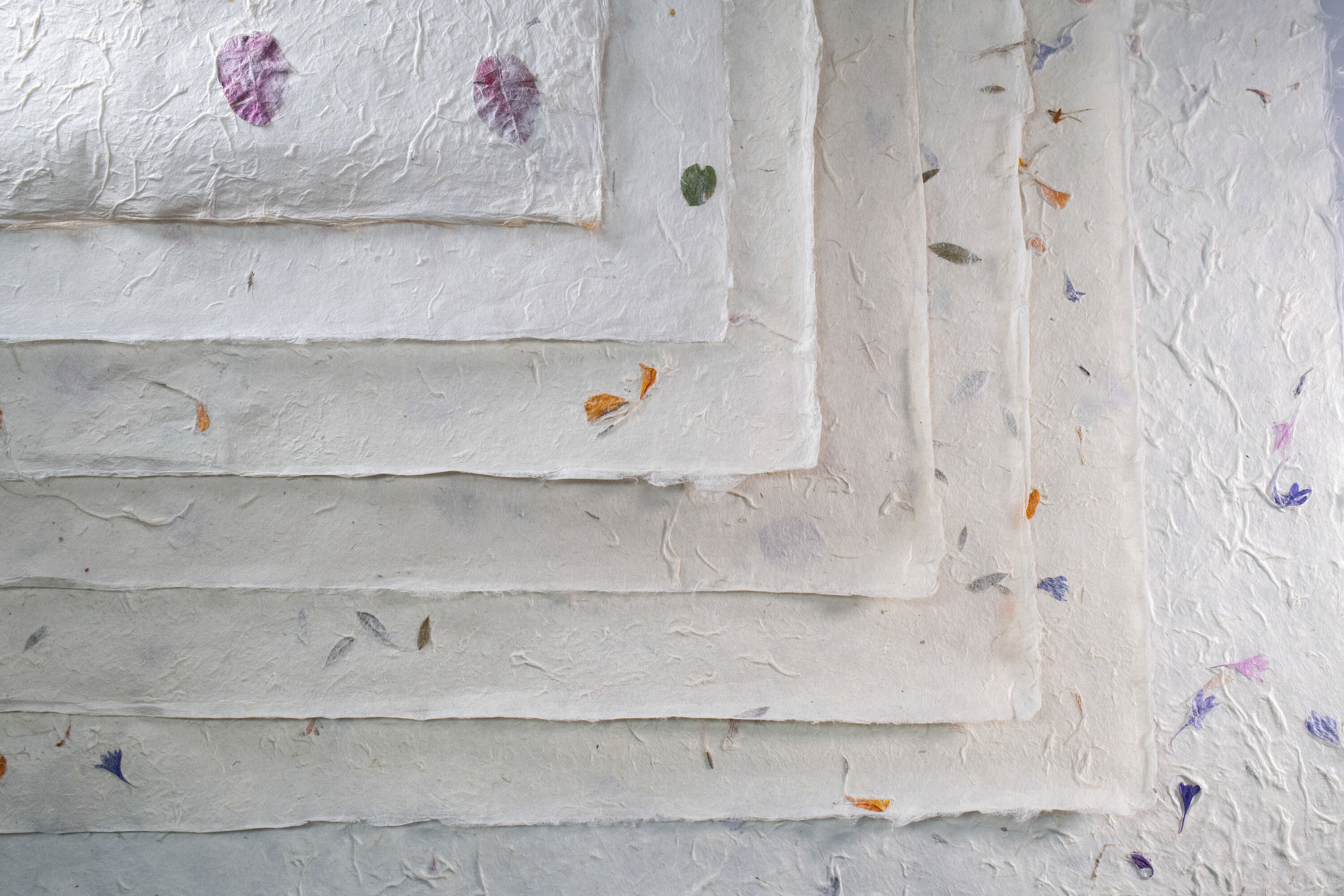 Handmade Lokta Paper Containing Orange Marigold Petals. Flower - Etsy UK