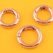 11/13mm Inner Diameter Round Spring Gate Ring Spring Ring Clasp 10 ...