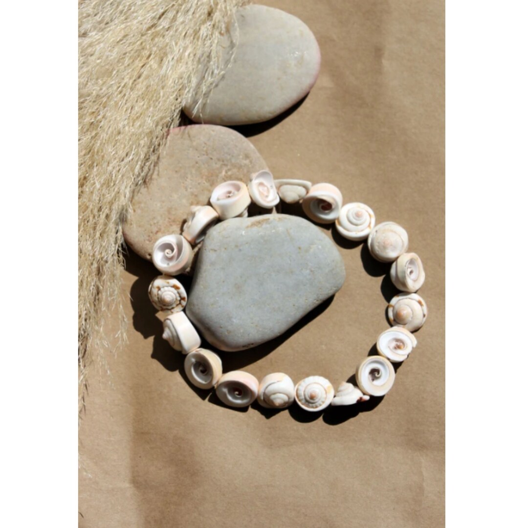 Seashell Choker | White Sundial Shell Bead Necklace - Etsy