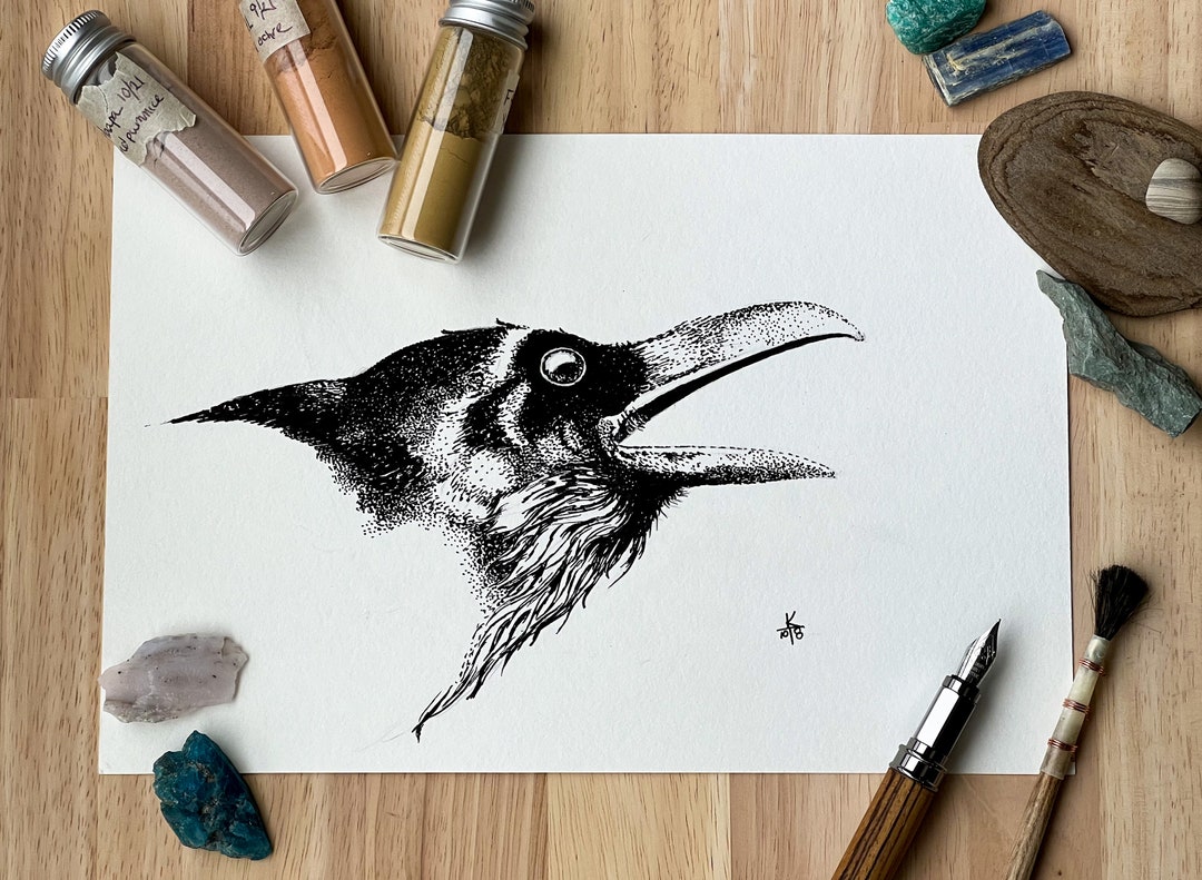 Original Pen and Ink Bird Art Raven - Etsy