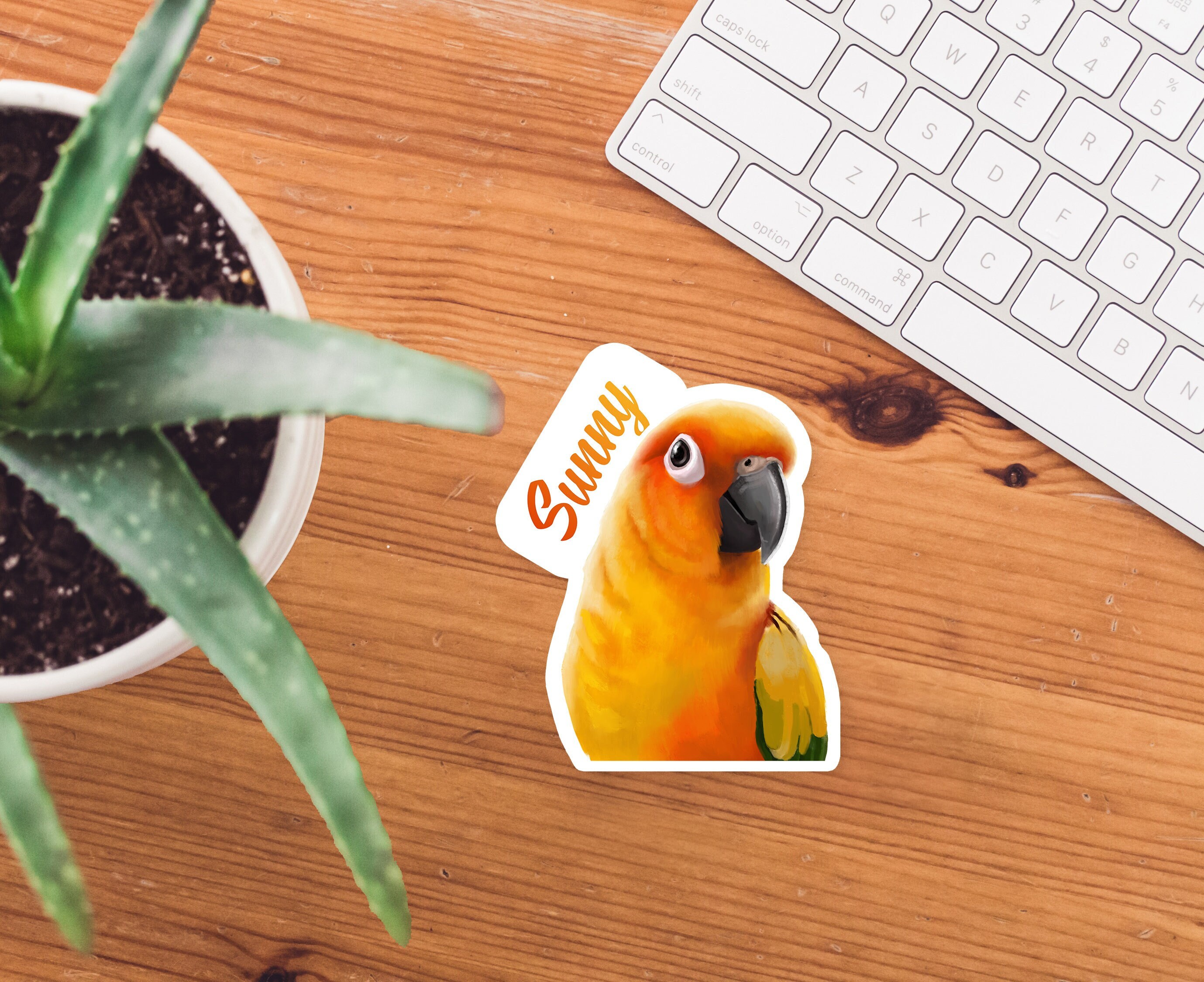 Personalized Sun Conure Vinyl Sticker Indoor and Outdoor - Etsy Australia