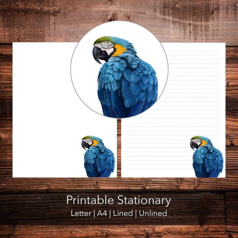 Printable Parrot Stationery Paper 8.5x11, A4 Letter Writing Digital ...