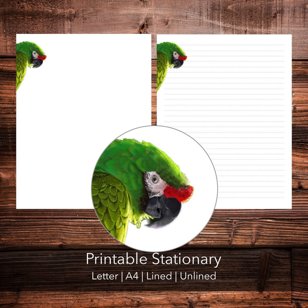 Printable Parrot Stationery Paper 8.5x11, A4 Letter Writing Digital ...