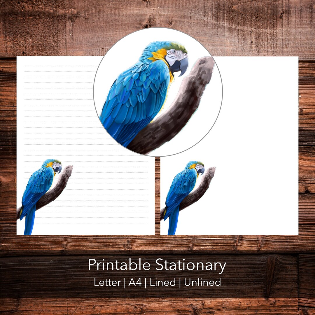 Printable Parrot Stationery Paper 8.5x11, A4 Letter Writing Digital ...