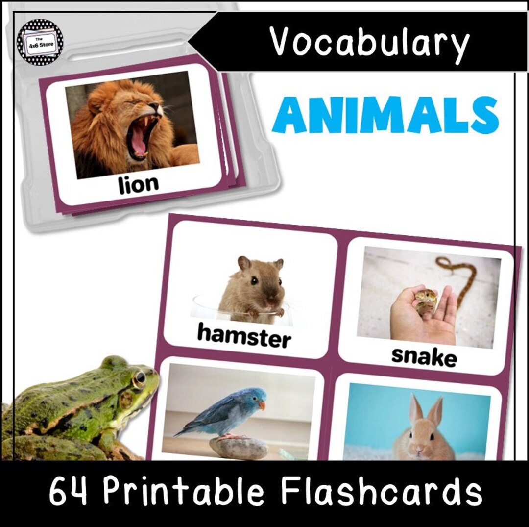 Animal Vocabulary Real Photo Flashcards for ESL and Speech *digital* - Etsy