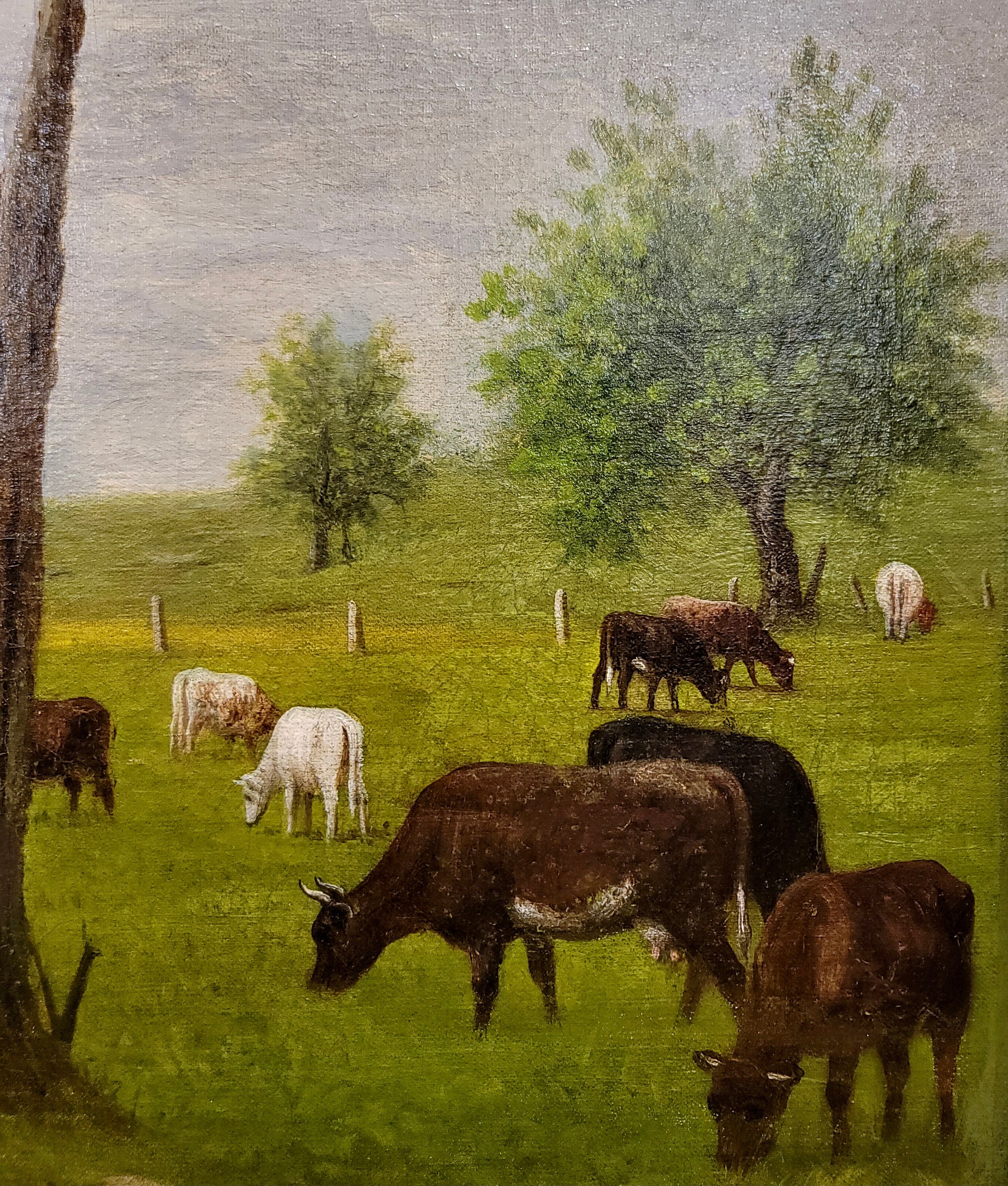 Barton Stone Hays -cows Grazing in a Pastoral Landscape-19th Century ...