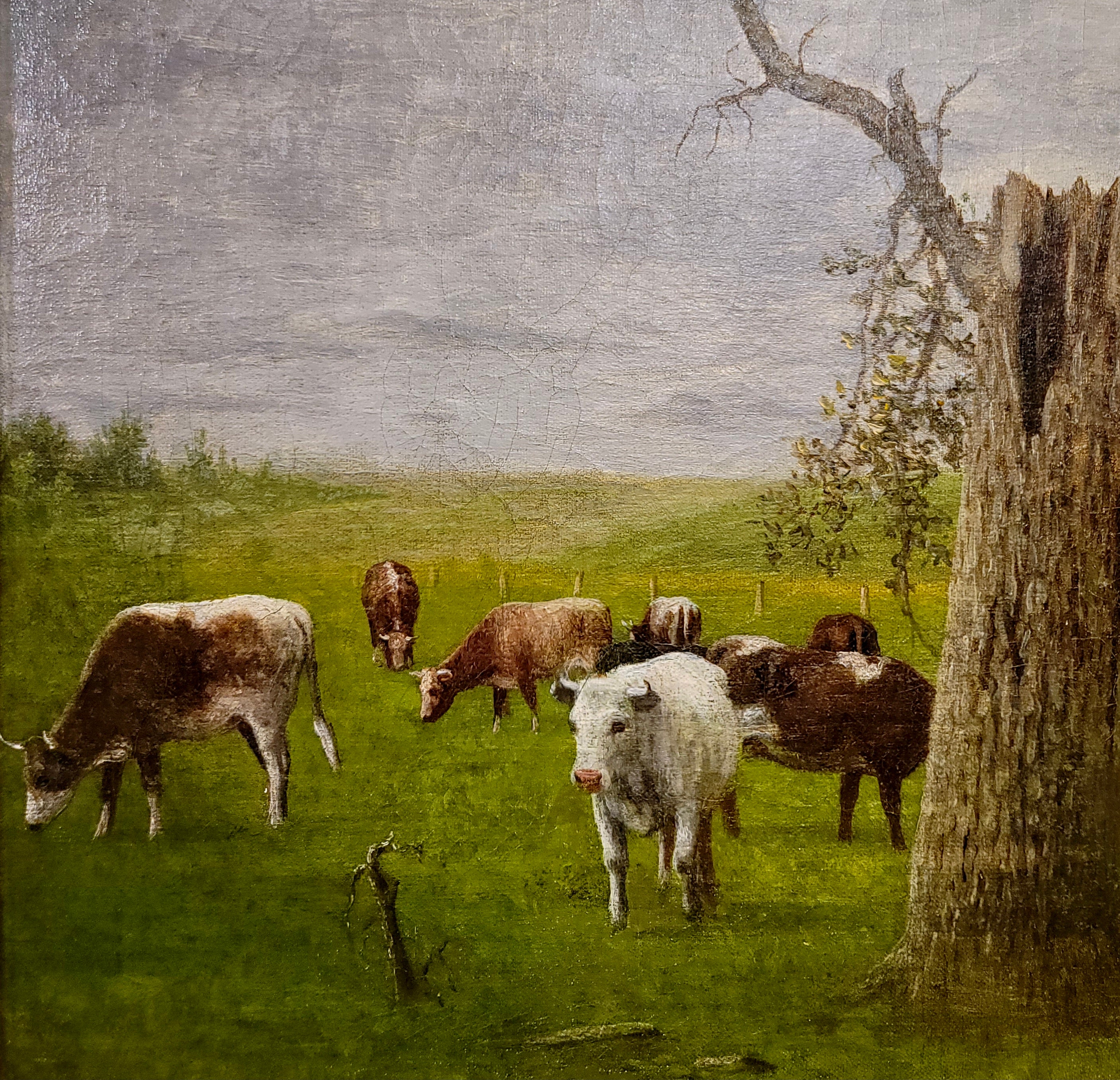 Barton Stone Hays -cows Grazing in a Pastoral Landscape-19th Century ...